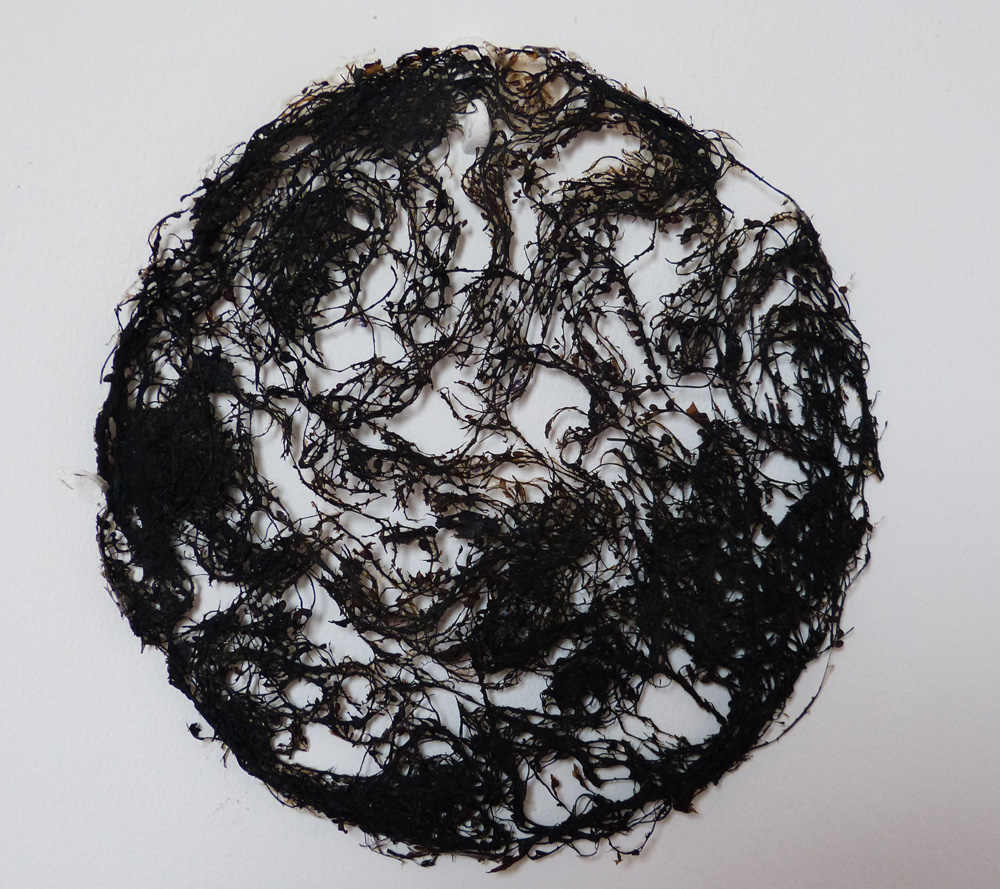 Artists' Residency 2019 – Jan Alison Edwards