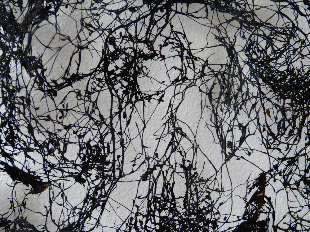 Artists' Residency 2019 – Jan Alison Edwards