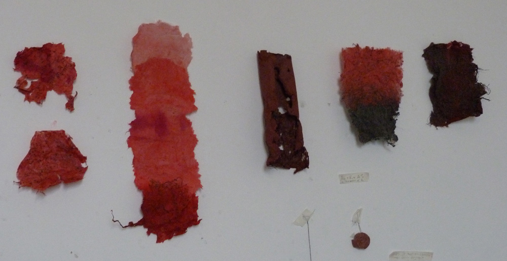 Artists' Residency 2019 – Jan Alison Edwards